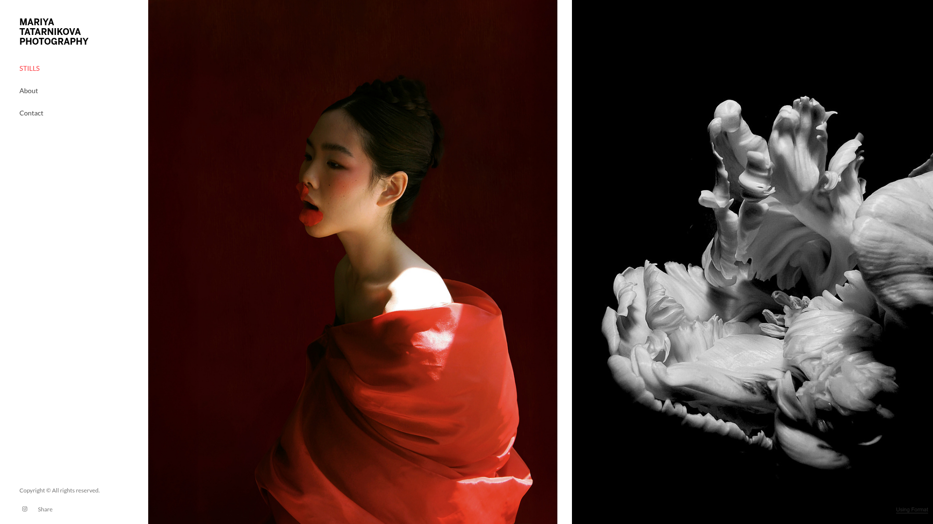 mariyatatarnikova-format - Photography & Visual Media